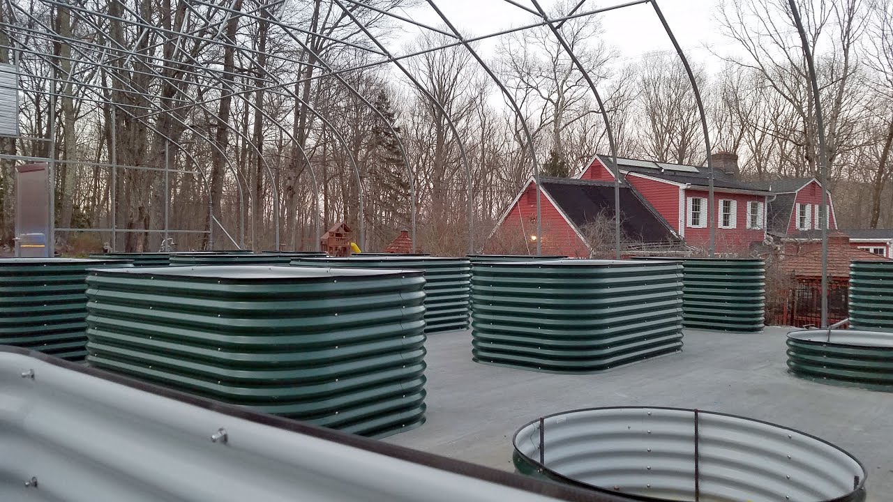 Raised Garden Bed on Concrete Screened | Vego Garden