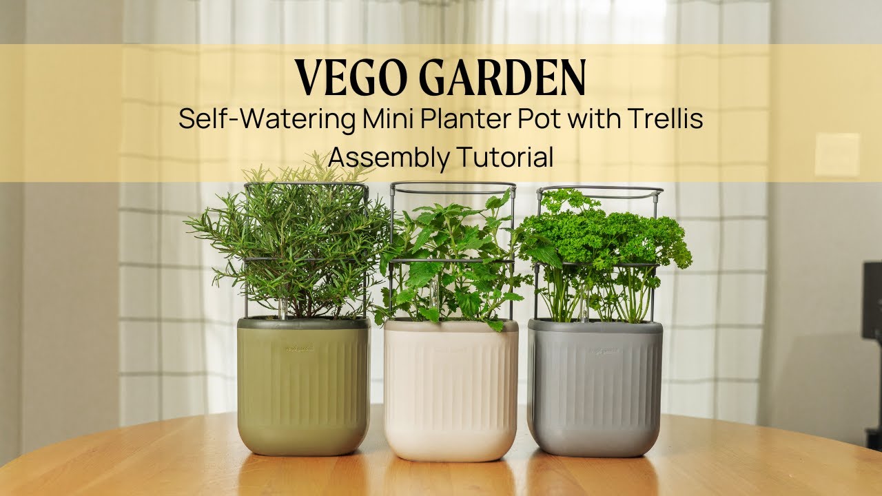 Self-Watering Mini Planter Pot with Trellis Assembly Tutorial | Vego G ...