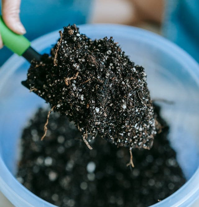 Ways to Properly Use Fertilizer – Vego Garden