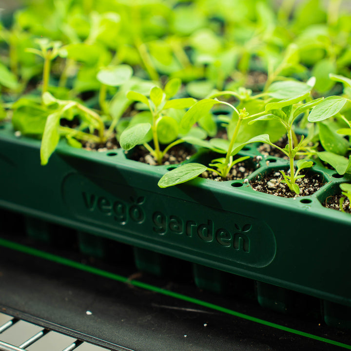 Vego Stackable Seedling Trays: Efficient Gardening Solution – Vego Garden